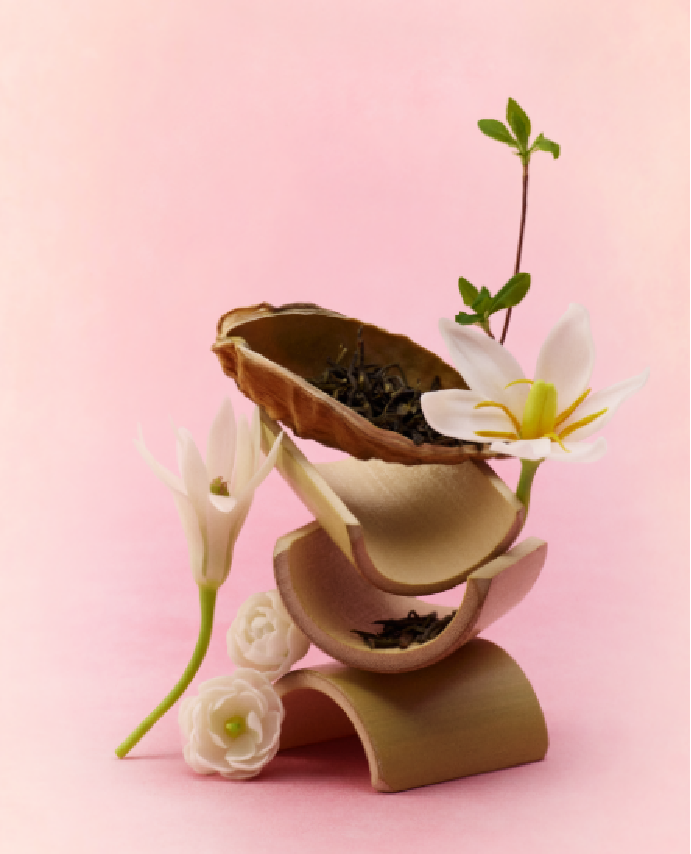 Mollytea – Premium Jasmine Tea from China | Handcrafted Floral Delight
